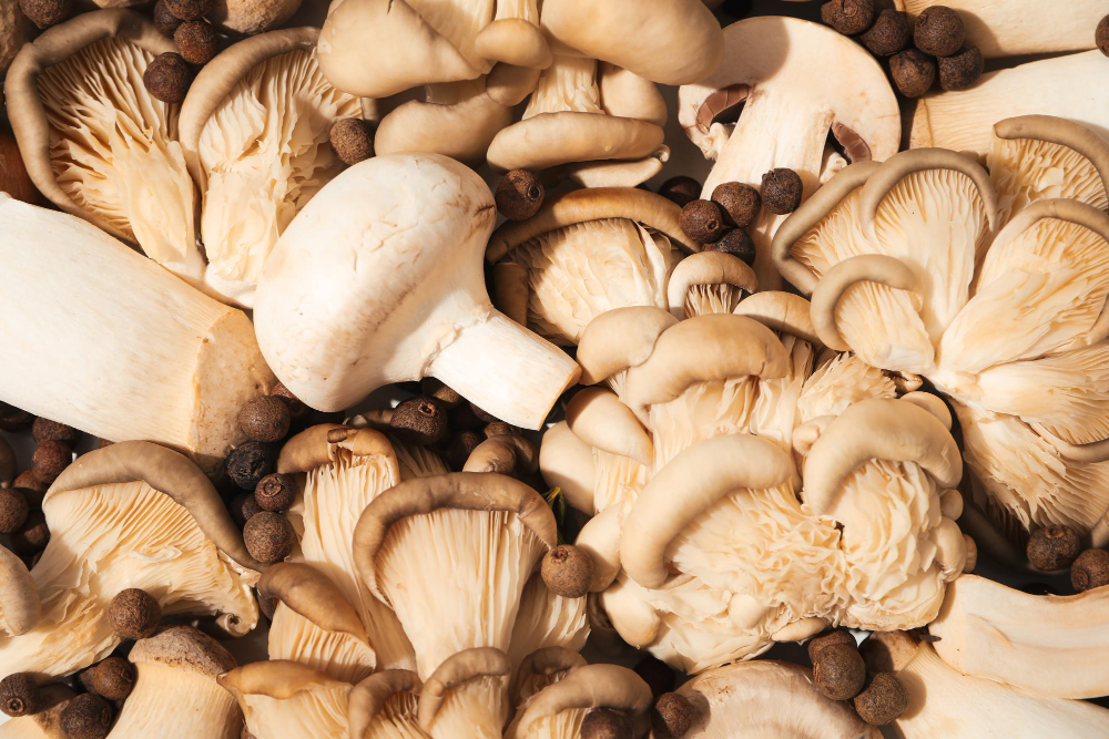 Quelles sont les variétés de champignons comestibles ? – Des beaux plats